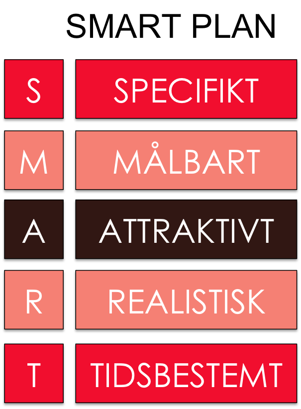 Dyrvig Daily Sund livsstil for alle